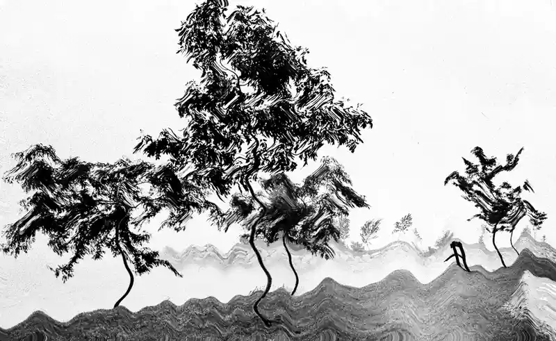 Misty Vision – Perfect Picture Art