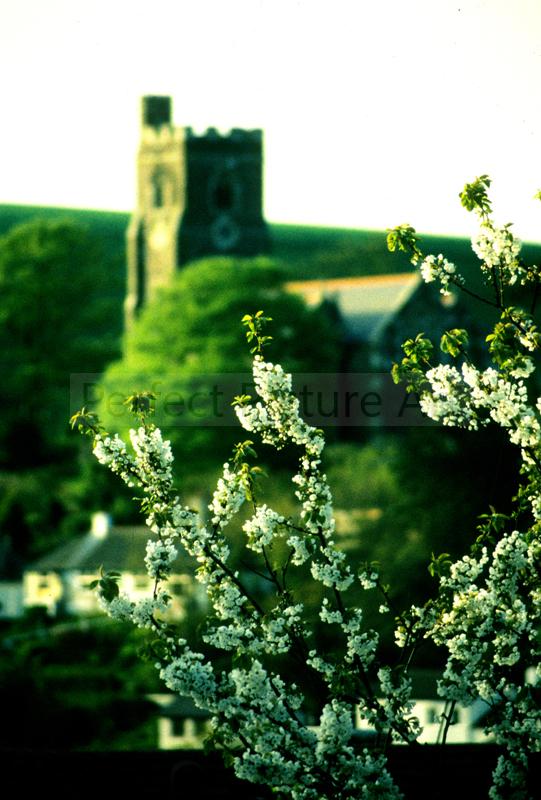 Country File – Perfect Picture Art